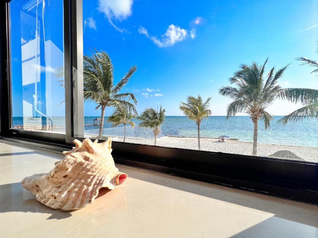 Bello Mar de Cancun, Beautiful 2Br 2Ba Condo overlooking beach ...