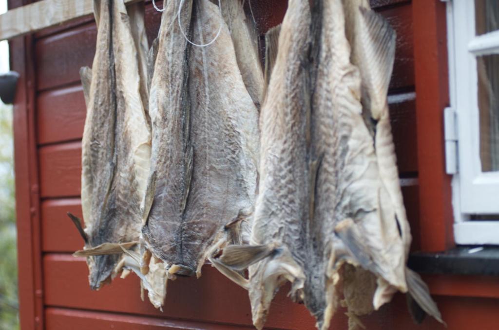 Aabor Buene-Svolvær, Svolvær (tarifs actualisés, 2025)