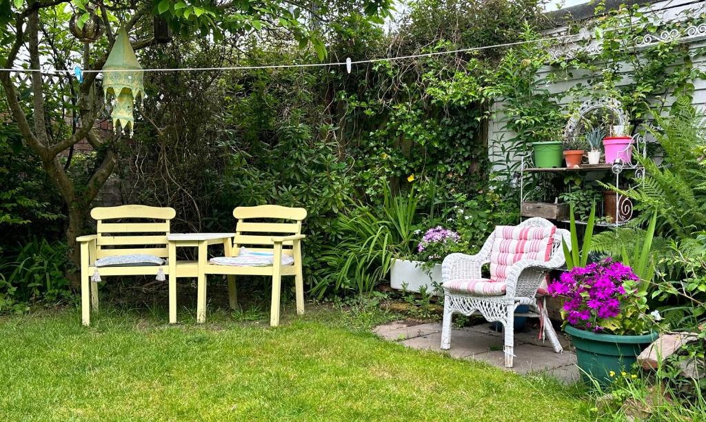 Garden Snug, Belfast – Updated 2024 Prices