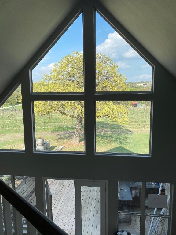 Hamilton Pool Vineyards & Farms, Hammetts Crossing (updated prices 2026)