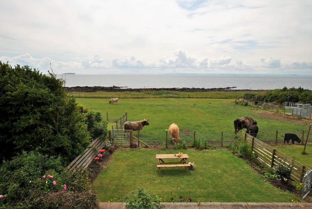 Clover Cottage countryside retreat with sea views, Crail – Updated 2024 ...