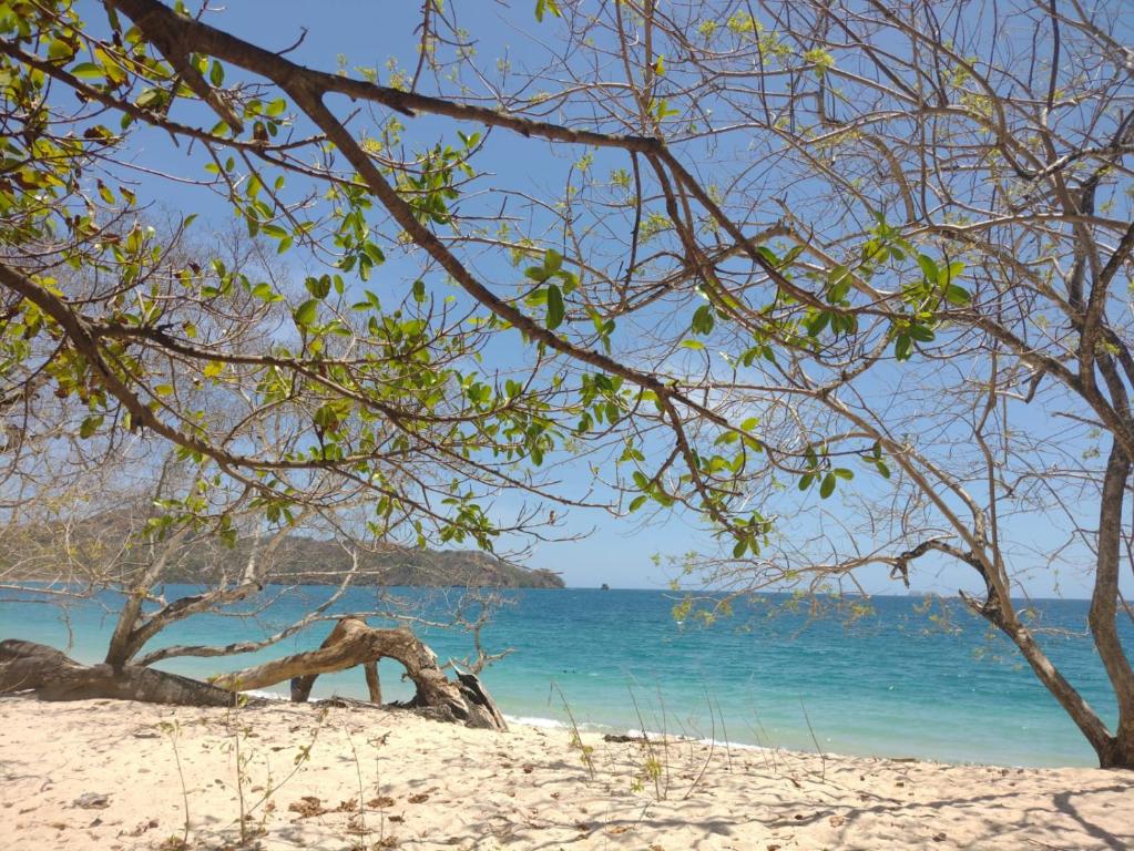 Cabina Grande en Brasilito con piscina a 2 min caminando de playa ...