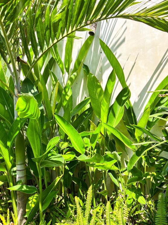 Las Flores Lombok, Kuta Lombok (updated prices 2025)