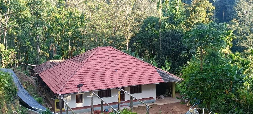 green heaven resort & homestay (India Kalasa) - Booking.com