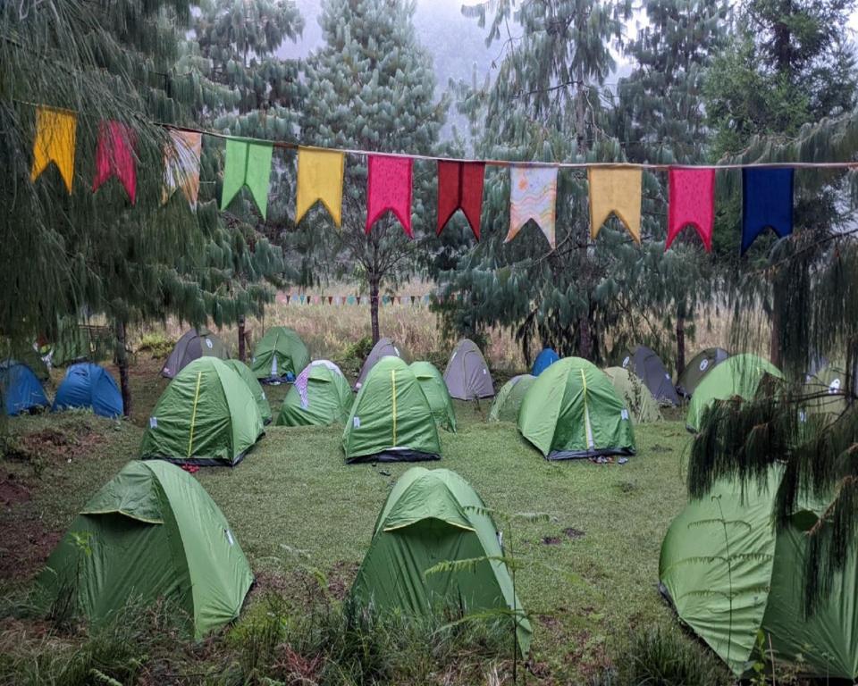 Encamp Ziro Valley Camp, Hāpoli (updated prices 2026)