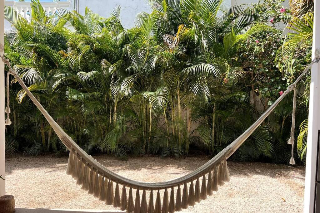 casa damiana, Mérida (updated prices 2025)