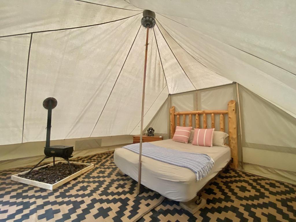 Sailor Springs Glamping, Bayfield (updated prices 2025)