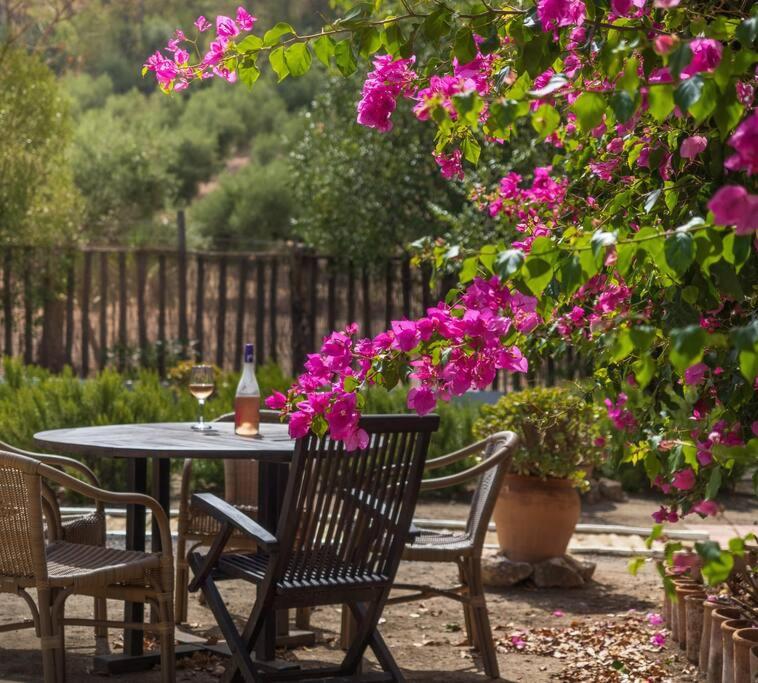 Ranchito de Alhucemas,piscina privada y barbacoa, Montellano (updated ...