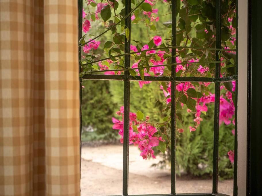 Ranchito de Alhucemas,piscina privada y barbacoa, Montellano (updated ...