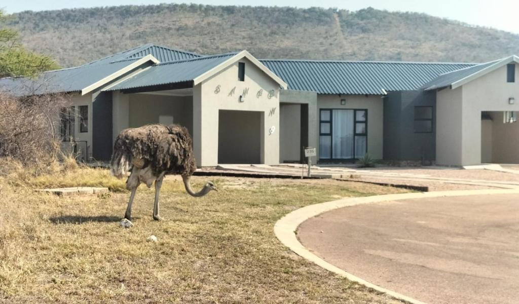 Sango on 9, Naboomspruit (updated prices 2025)