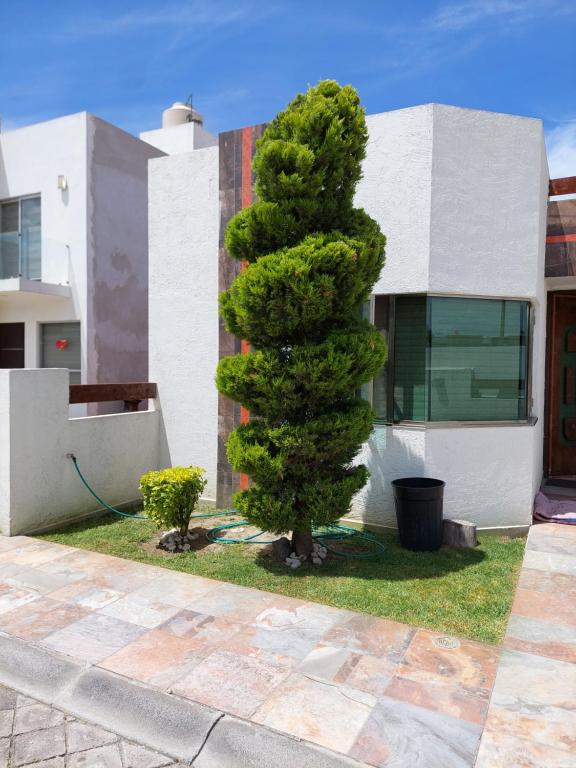 Casa Green, Oaxaca City (updated prices 2026)