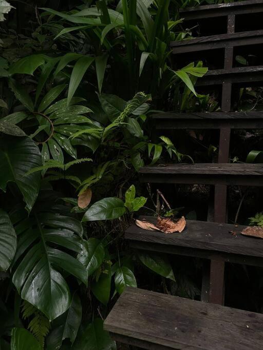 Ubud zen river house, secluded tranquil retreat in nature, Ubud ...