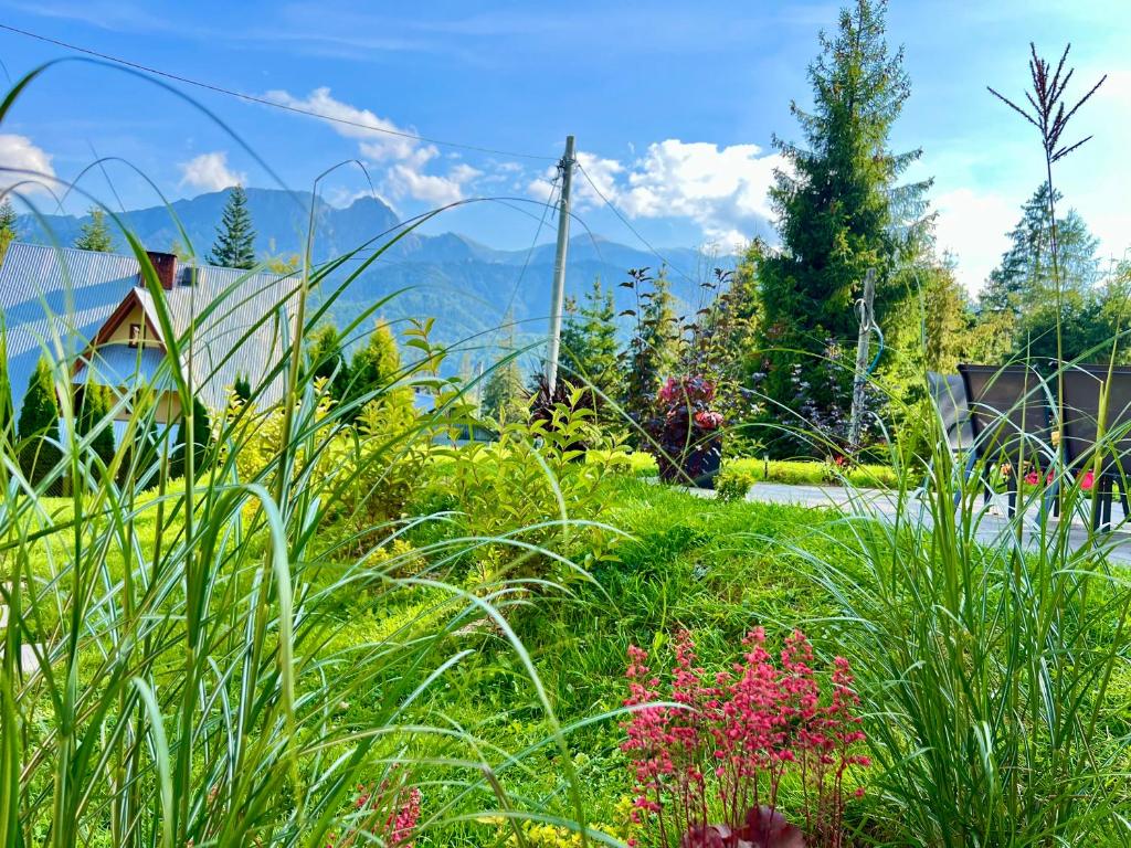 Bystry Domek, Kościelisko (updated prices 2026)