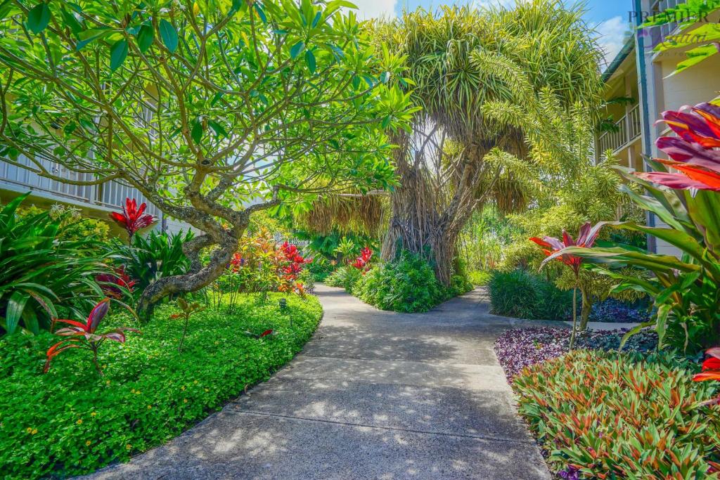 Islander on the Beach 259 "Drift Away" A Oceanview Studio, Kapaa ...