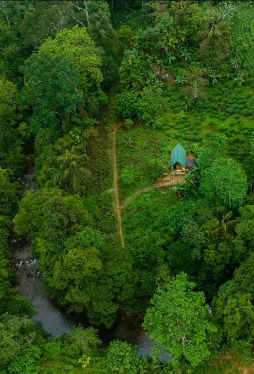 Rainforest cabin, Deniyaya (updated prices 2026)