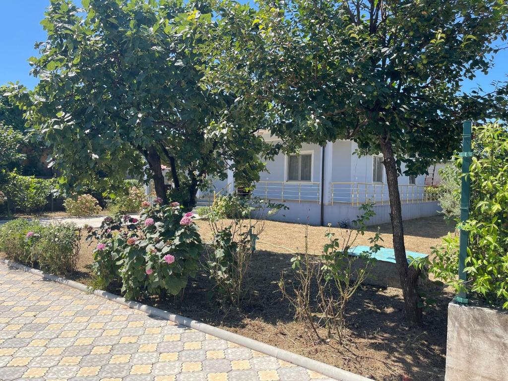 SHTEPIA E ADIT, Shkodër (precios actualizados 2025)