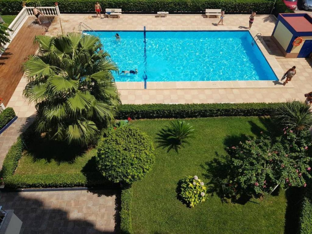 Gandia al azar, Playa de Gandia (updated prices 2025)