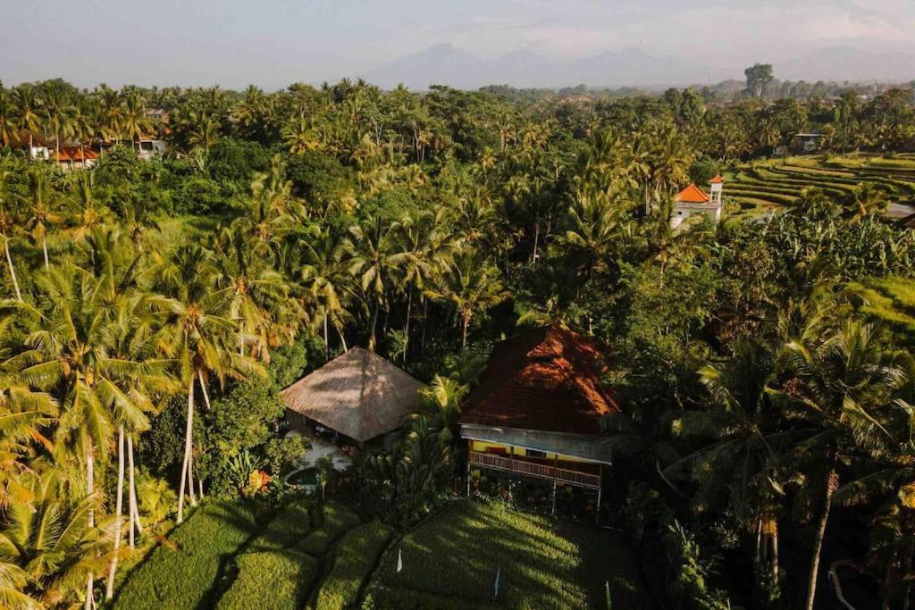 Calm villa in rice field area. (Indonésia Ubud) - Booking.com