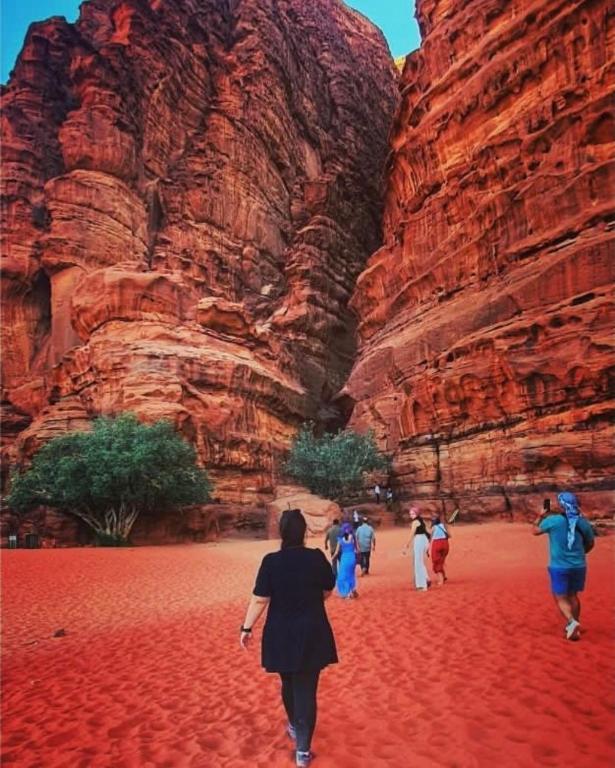 Desert Magic Camp, Wadi Rum (updated prices 2025)