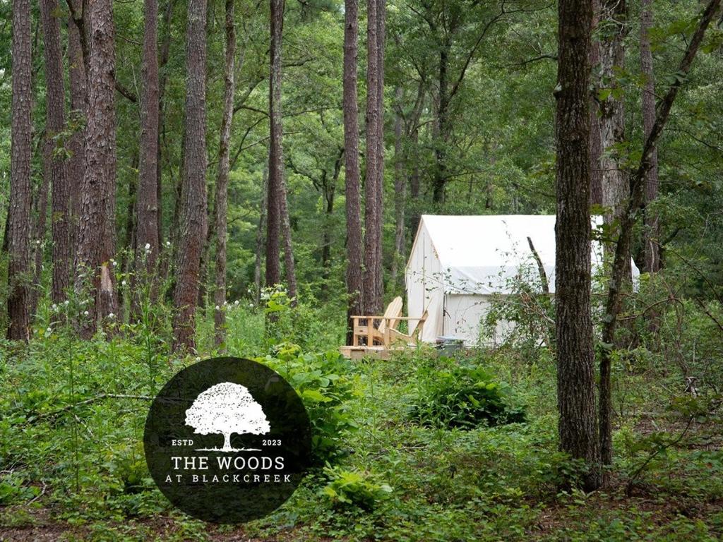 Tentrr Signature Site - The Woods at Black Creek - The Swamp Fox ...