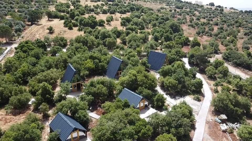 Nature Forest Cabins, Jerash (updated prices 2025)