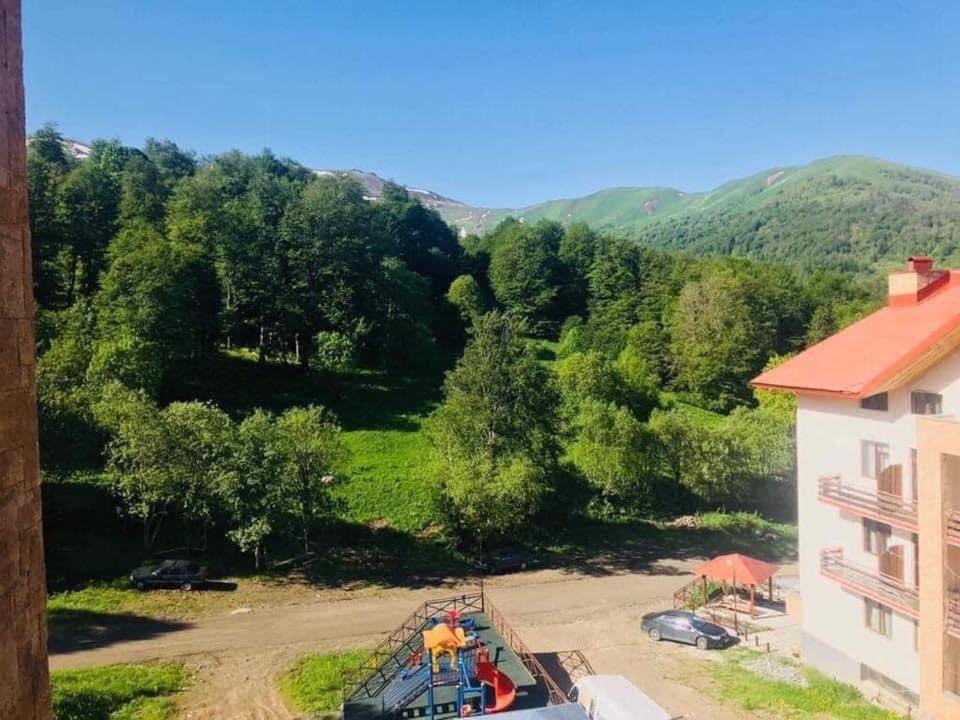 Bakuriani Didveli Hotel K2, Bakuriani (updated prices 2025)