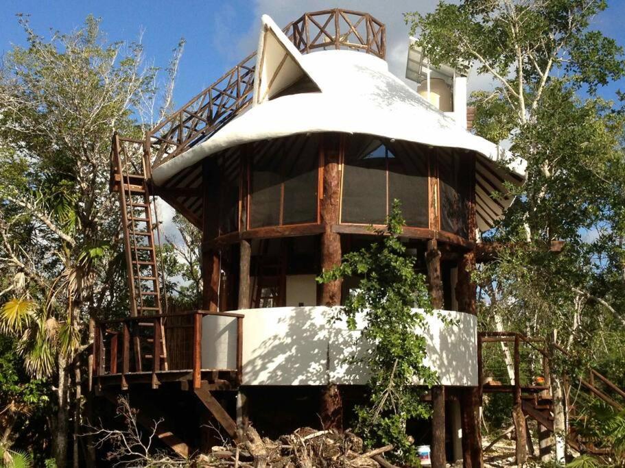 Exotic Eco House in Jungle with Private Cenote, Tulum (harga terbaru 2026)