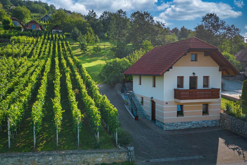 Vineyard Cottage Pyramid - Happy Rentals, Dobrnič – Aktualisierte ...