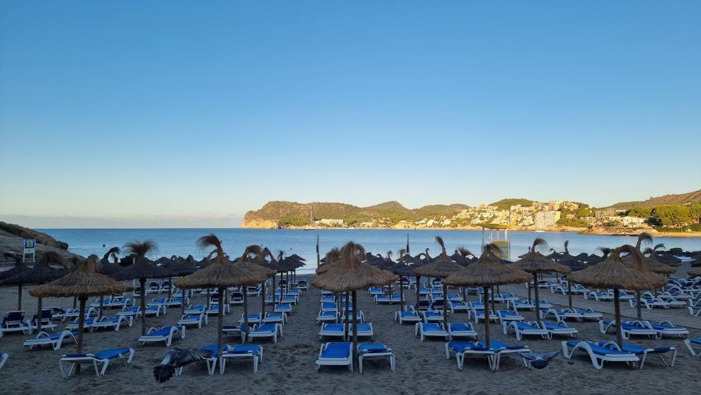 Hapimag Resort Paguera, Paguera (updated prices 2025)