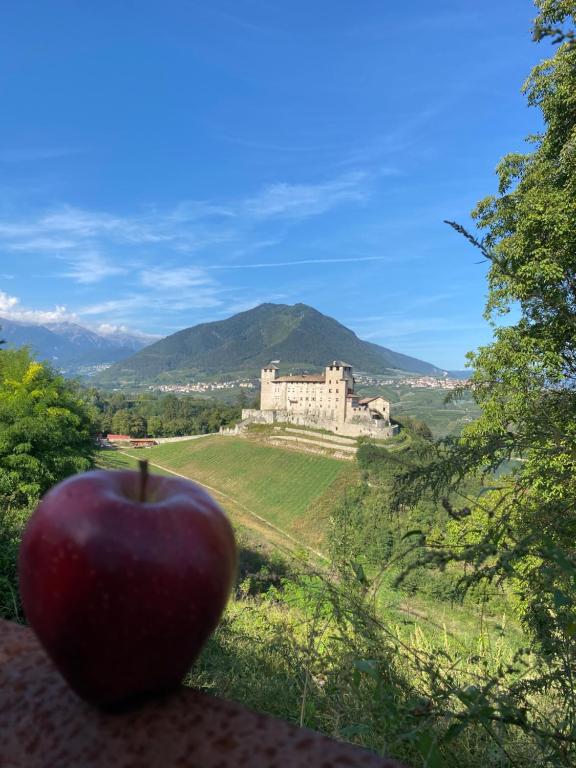 Civico 16 - centro storico Cles, Cles (updated prices 2024)