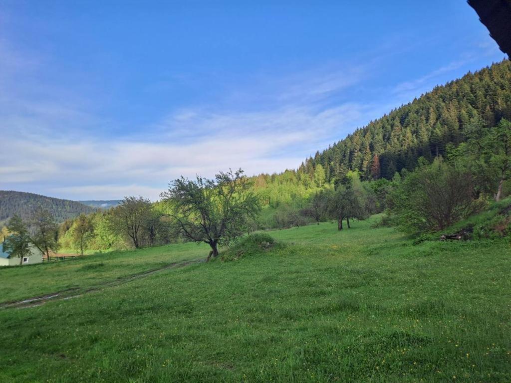 Desin Do-Kuća Rakovića, Berane (updated prices 2024)