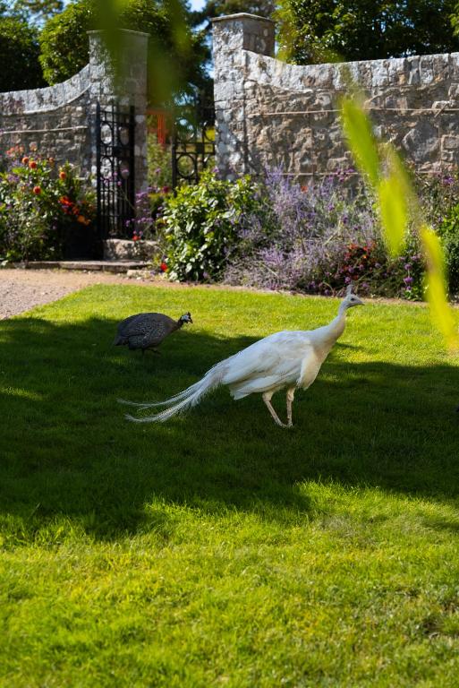 Gileston Manor Luxury B&B, Barry (updated prices 2025)