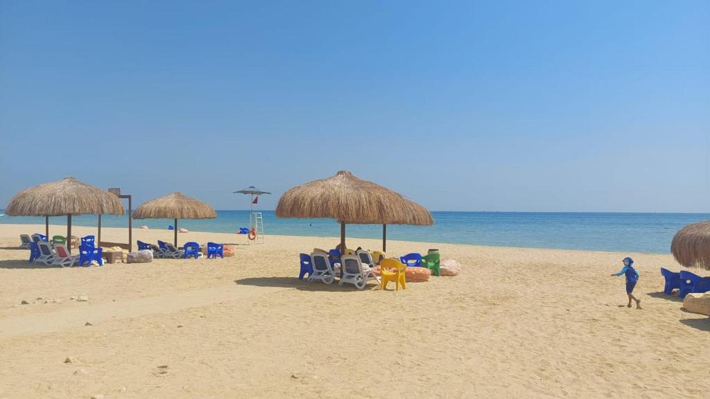 Lasirina palm beach for families only, Ain Sokhna – Updated 2024 Prices