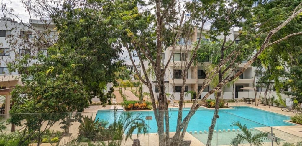 Areva Suite, Playa del Carmen (precios actualizados 2025)