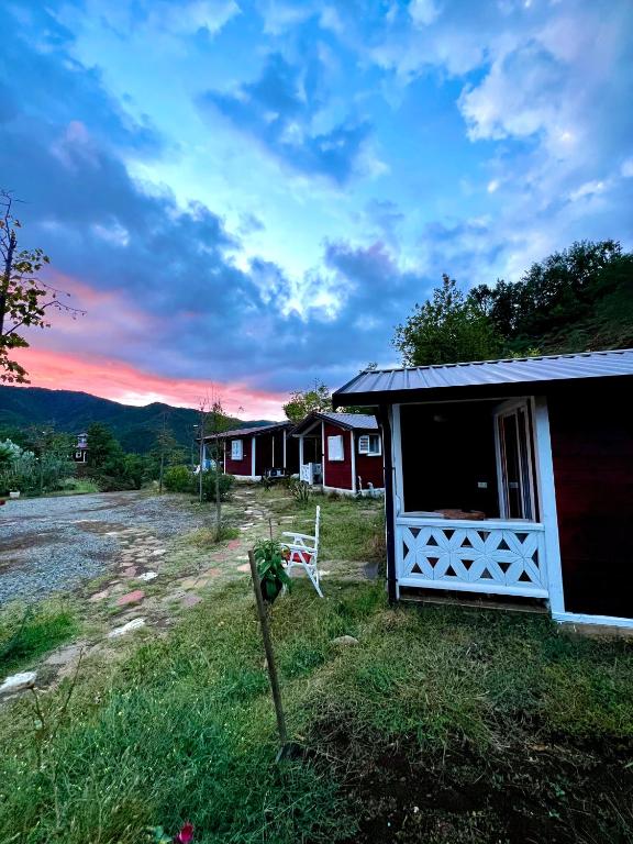 Baven -Toven Naturae, Rubik (updated prices 2025)