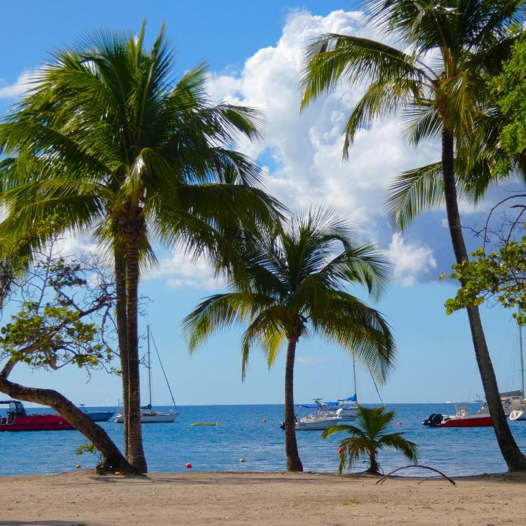 La Plage - Mer des Caraïbes à 30m, Les Trois-Îlets (updated prices 2026)