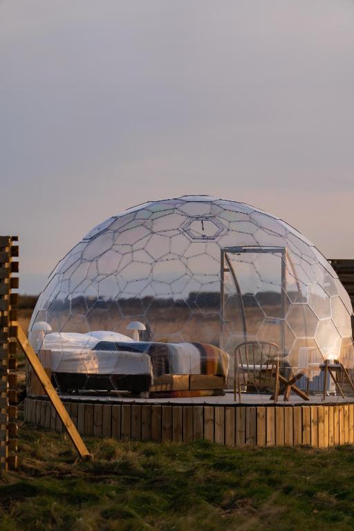 Aurora Igloo, Hella (updated prices 2025)