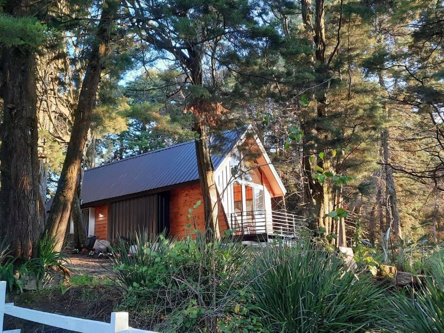 Les Chalets cerca Zarcero, Zarcero (updated prices 2024)