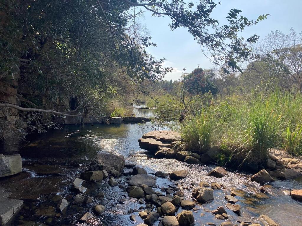 Amani Bush Escape, Buffelspoort (updated prices 2025)