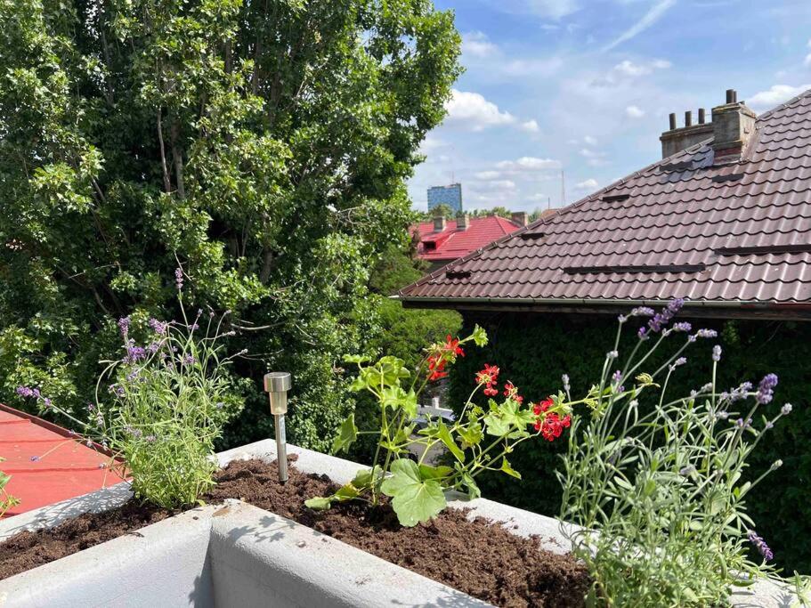 Loft Villa Floreasca, Bucharest (updated prices 2026)