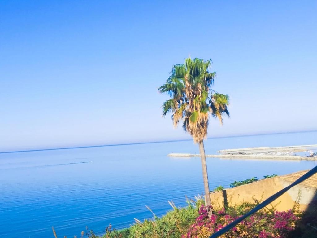 Mediterraneo Travel, Gela (updated prices 2024)