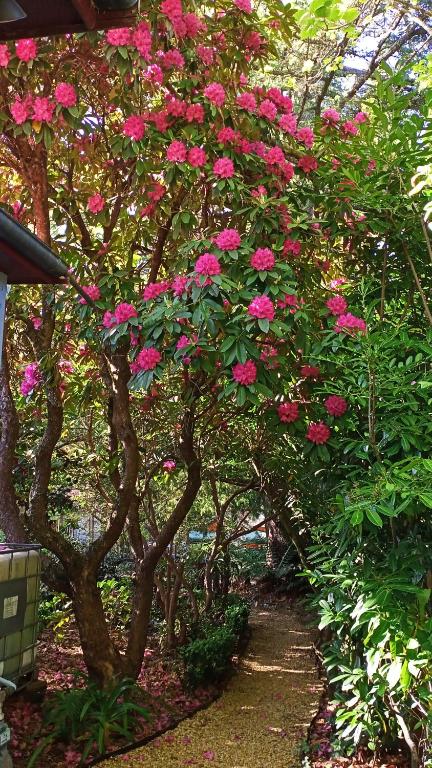 KUBBA ROONGA GUESTHOUSE - Boutique Luxury Spa Retreat & Gardens - Blue ...