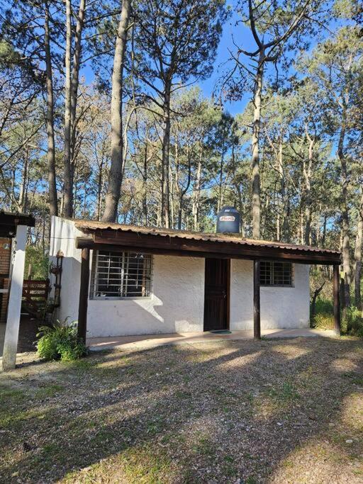 Bosque y playa en Jaureguiberry. Cabaña monoambiente para 4 personas ...