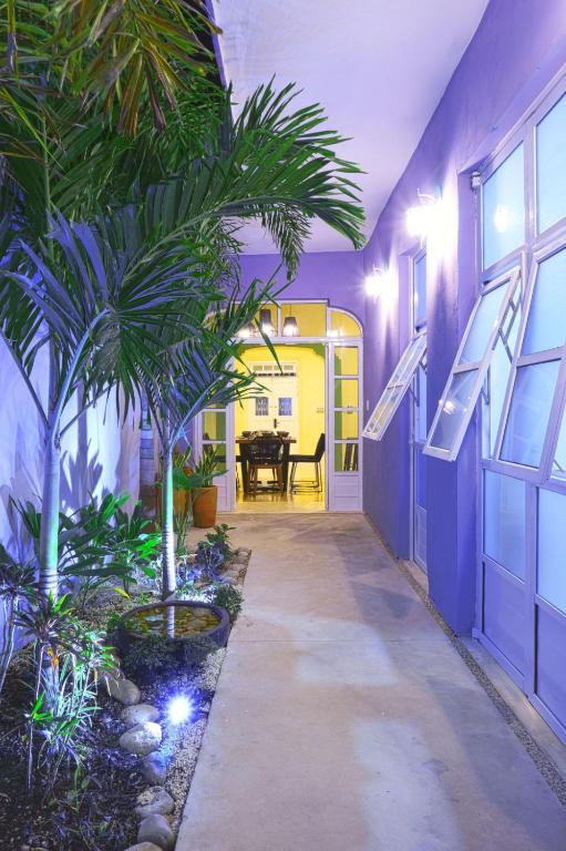 Casa Violeta, Mérida (precios actualizados 2026)