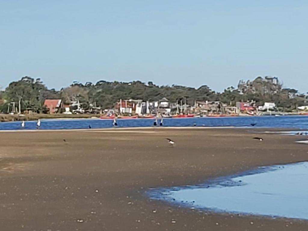 Blue, Neptunia (aktualisierte Preise für 2025)