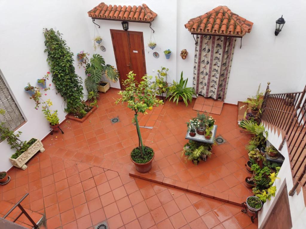 Cordobán By Guimar, Córdoba (updated prices 2025)