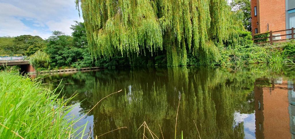 Entire house in Retford city centre, Retford (updated prices 2025)