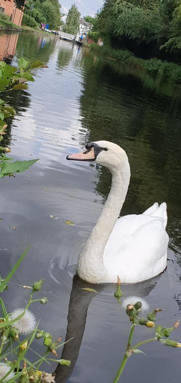 Entire house in Retford city centre, Retford (updated prices 2025)