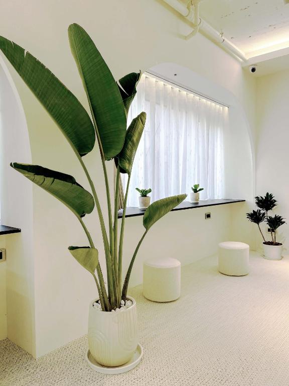 Wonderwall Ximending, Taipei (updated prices 2025)