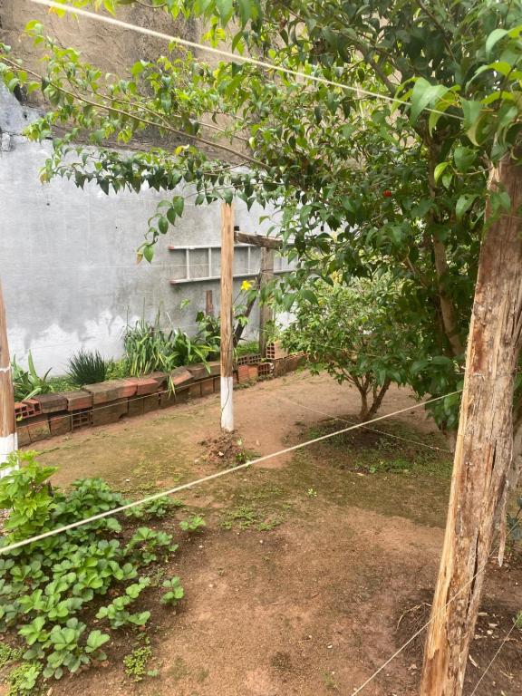 Casa mãe do céu - na natureza Basílica Aparecida, Aparecida ...